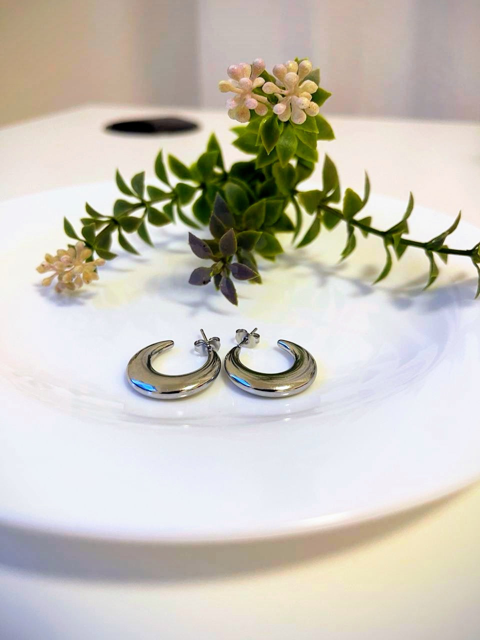 Luna (Silver) – Fine Array